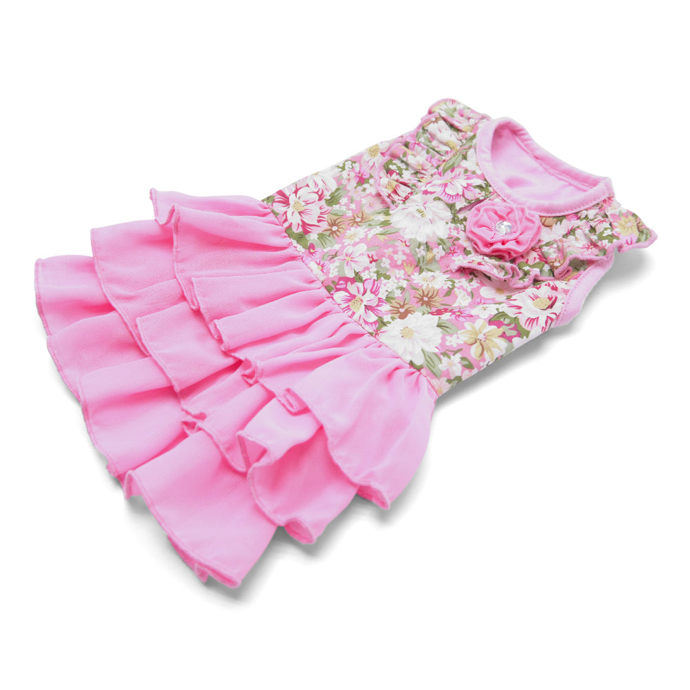 Dogo Pet Official Site - Pet Apparel and Accessories – DogoPet.com