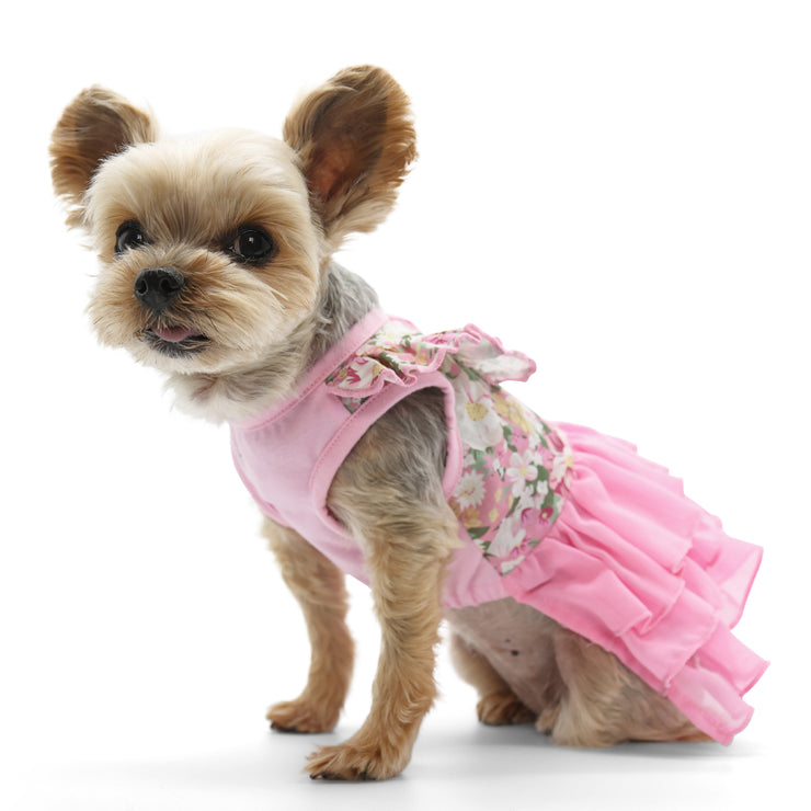 Dogo Pet Official Site - Pet Apparel and Accessories – DogoPet.com