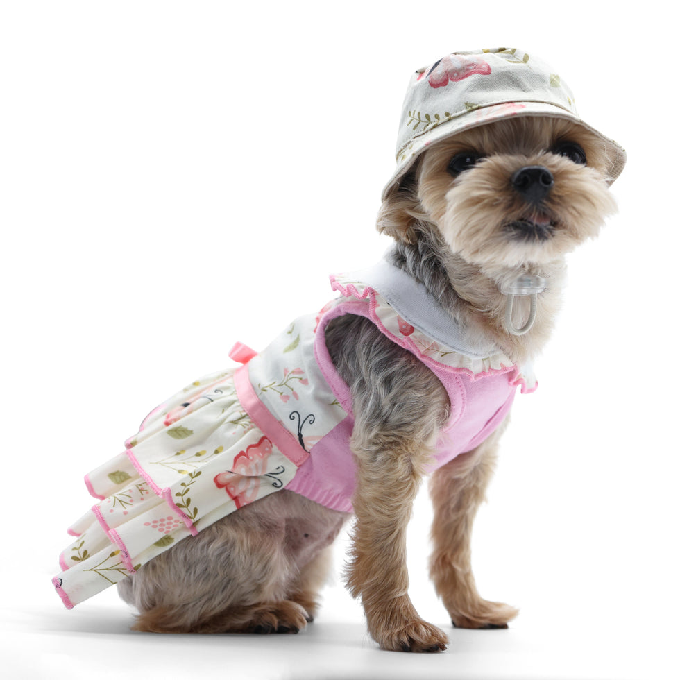 Dogo Pet Official Site - Pet Apparel and Accessories – DogoPet.com