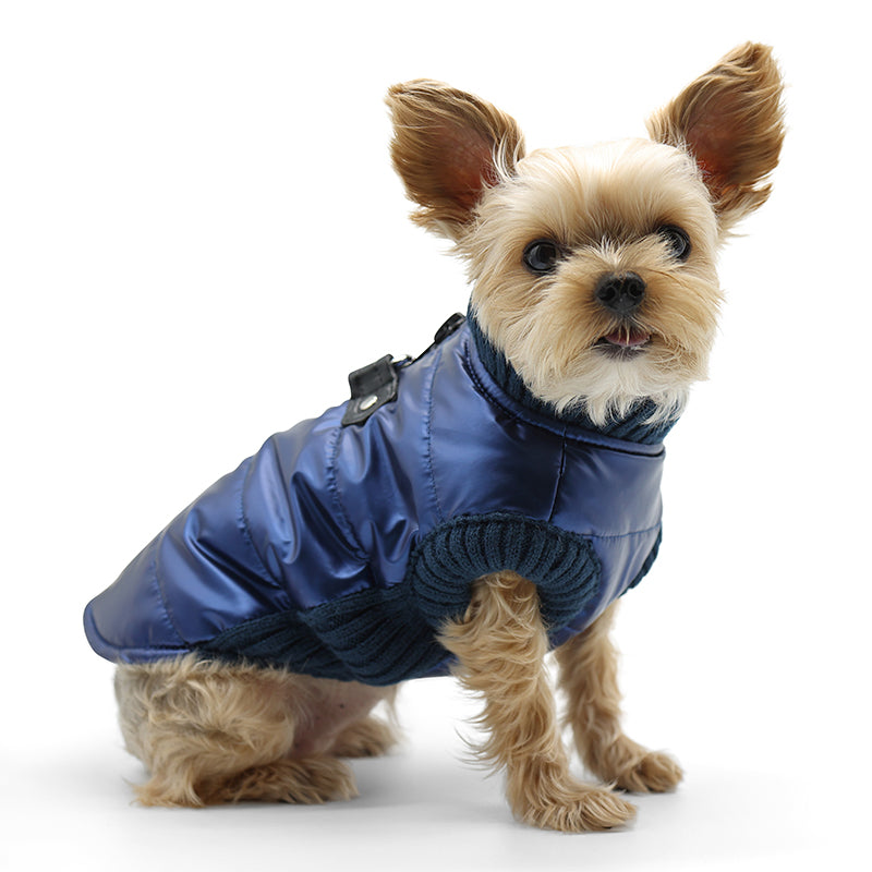 Runner Coat Metallic – DogoPet.com