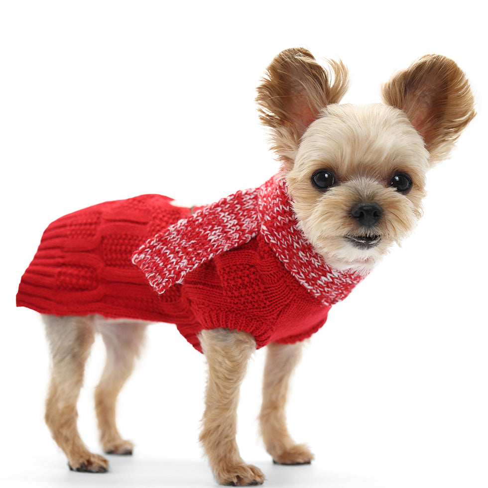 Dogo Pet Official Site - Pet Apparel and Accessories – DogoPet.com