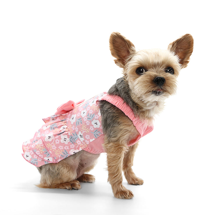Dogo Pet Official Site - Pet Apparel and Accessories – DogoPet.com